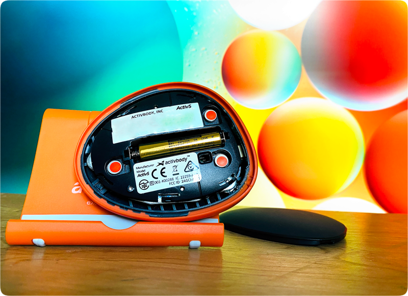 Review: Stay Fit on the Road with the Activ5 Portable Gym